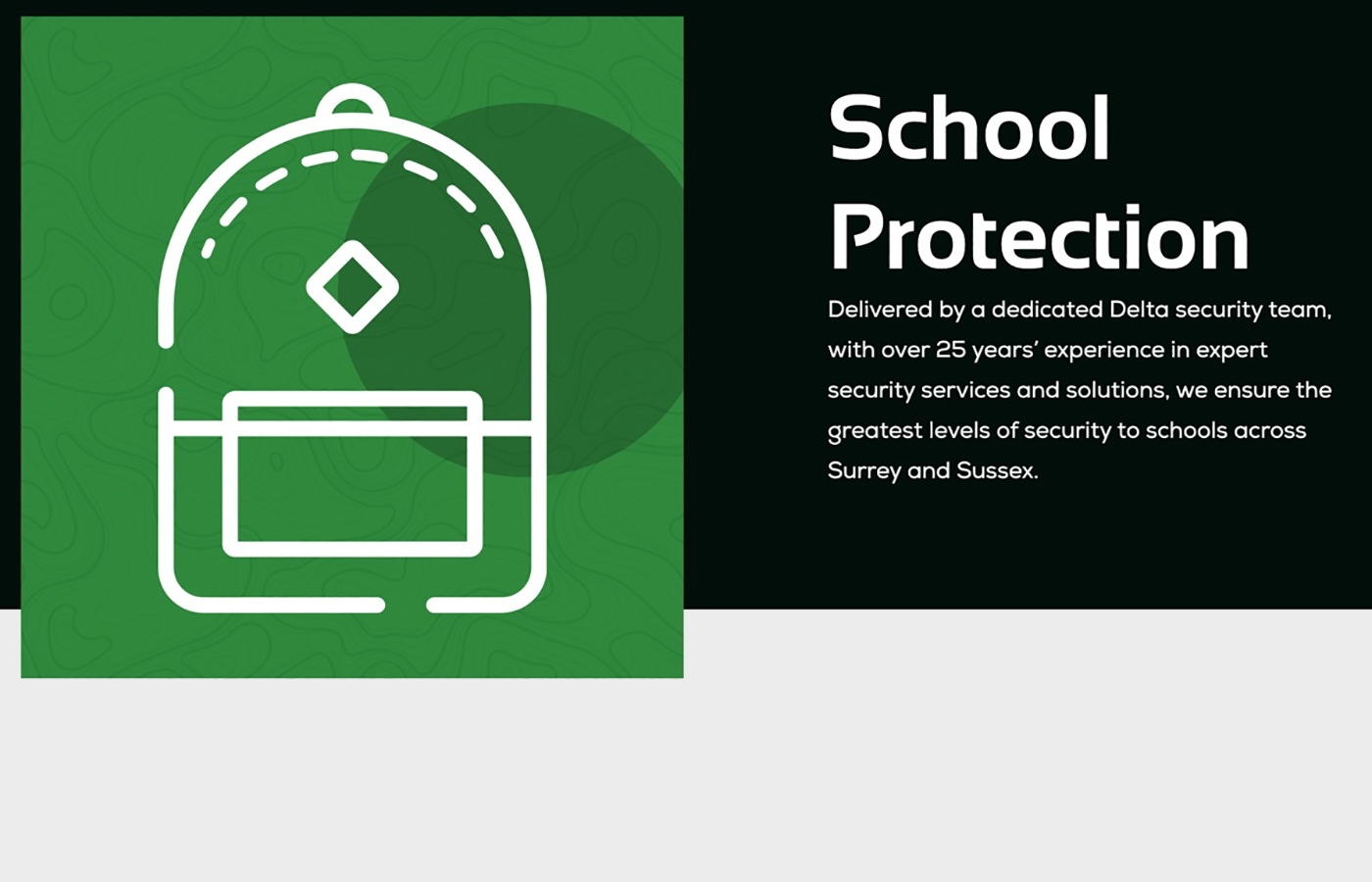 Delta Security Management Launches New Security Service to Support ...