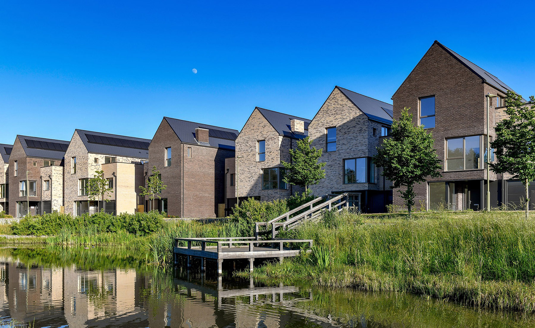 The Hill Group Delivers Record Revenues During Covid and Lays ...