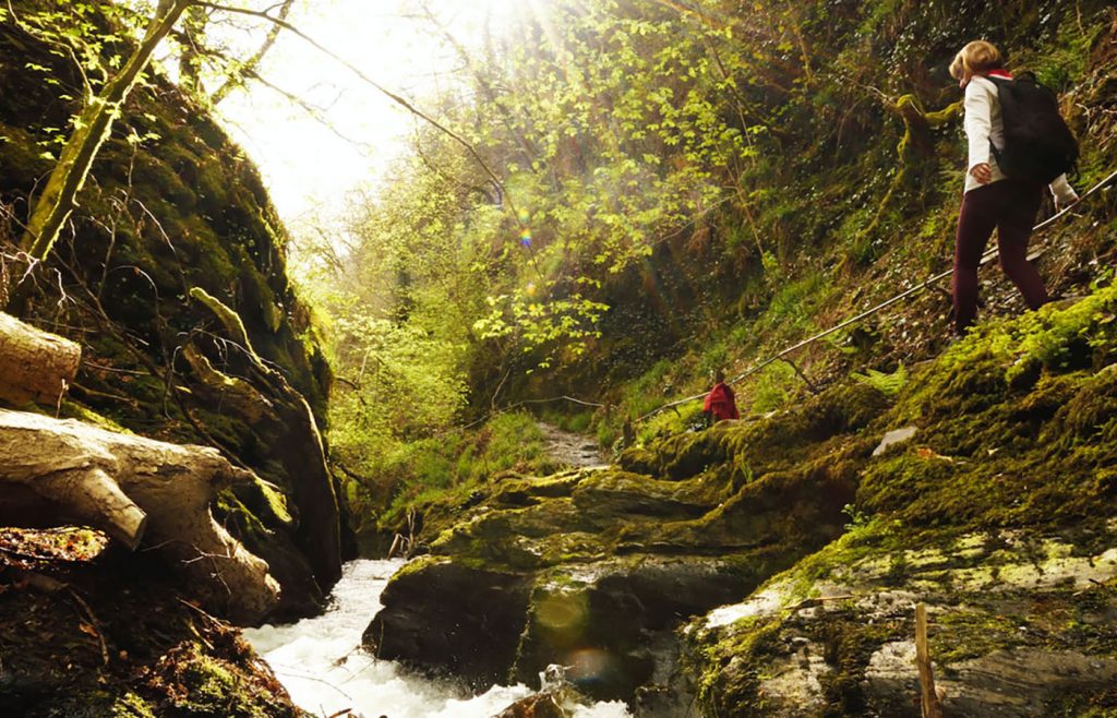 Redrow Development Wins Top Biodiversity Award for Nature Rich Habitats ...
